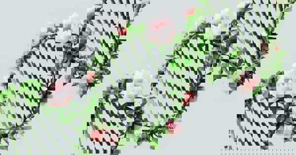 Mastering Personalization: Techniques & Tools to Boost Customer Engagement